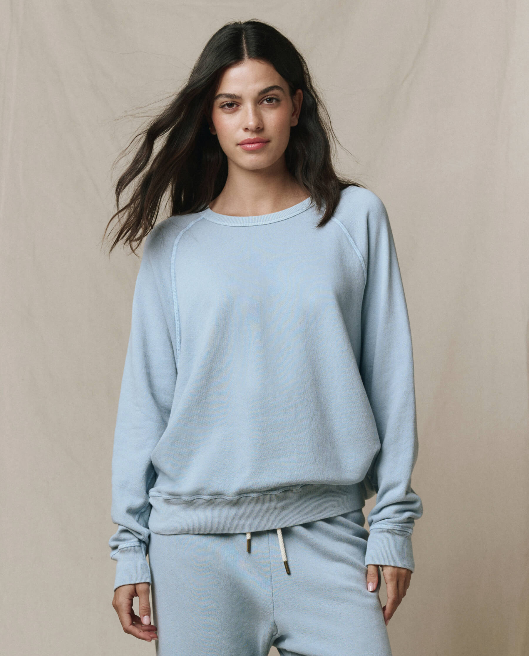 The College Sweatshirt. Solid -- Whisper Blue – The Great.